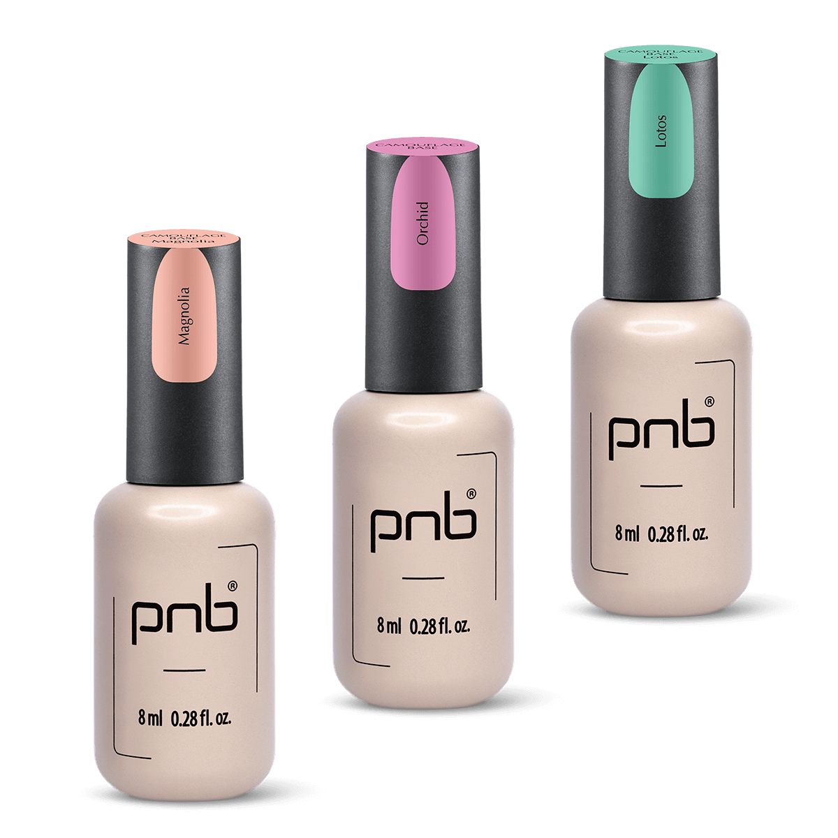 About company – PNB